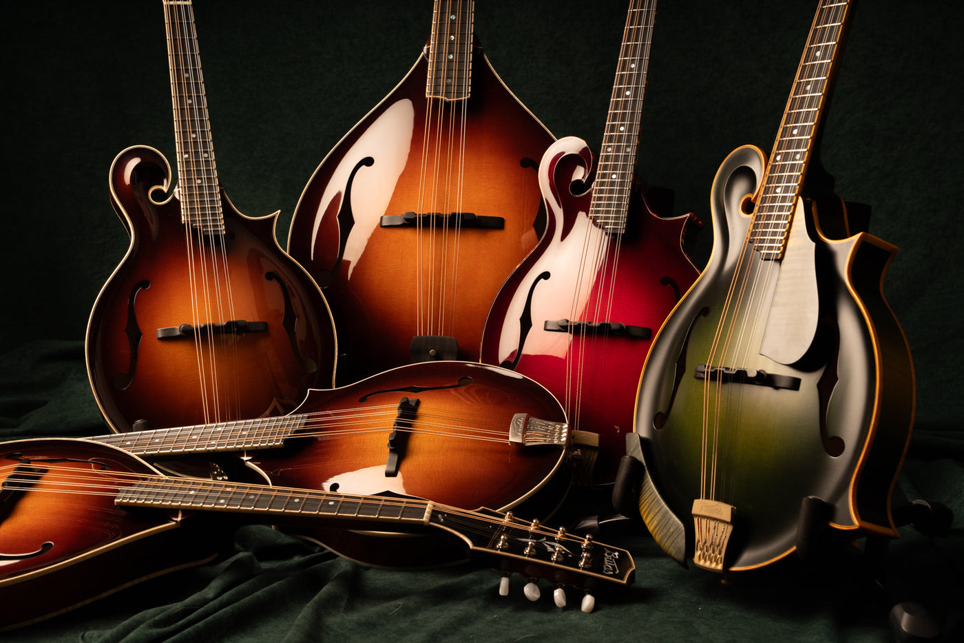 Bulas Mandolins | The Acoustic Shoppe