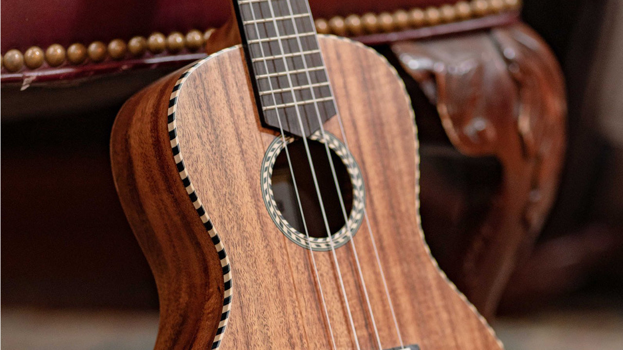 Cordoba Ukuleles | The Acoustic Shoppe