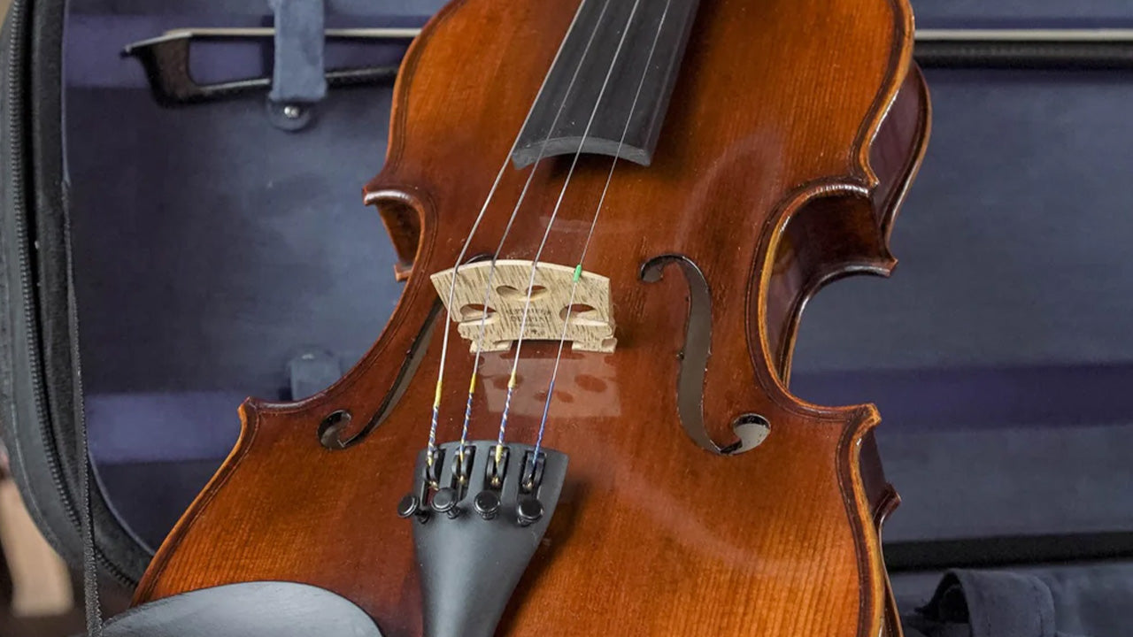 Eastman Violins | The Acoustic Shoppe
