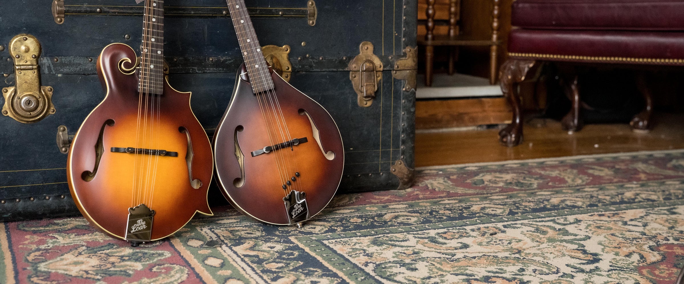 The Loar Mandolins | The Acoustic Shoppe