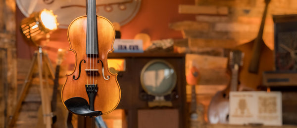 Orchestral String Instruments | The Acoustic Shoppe