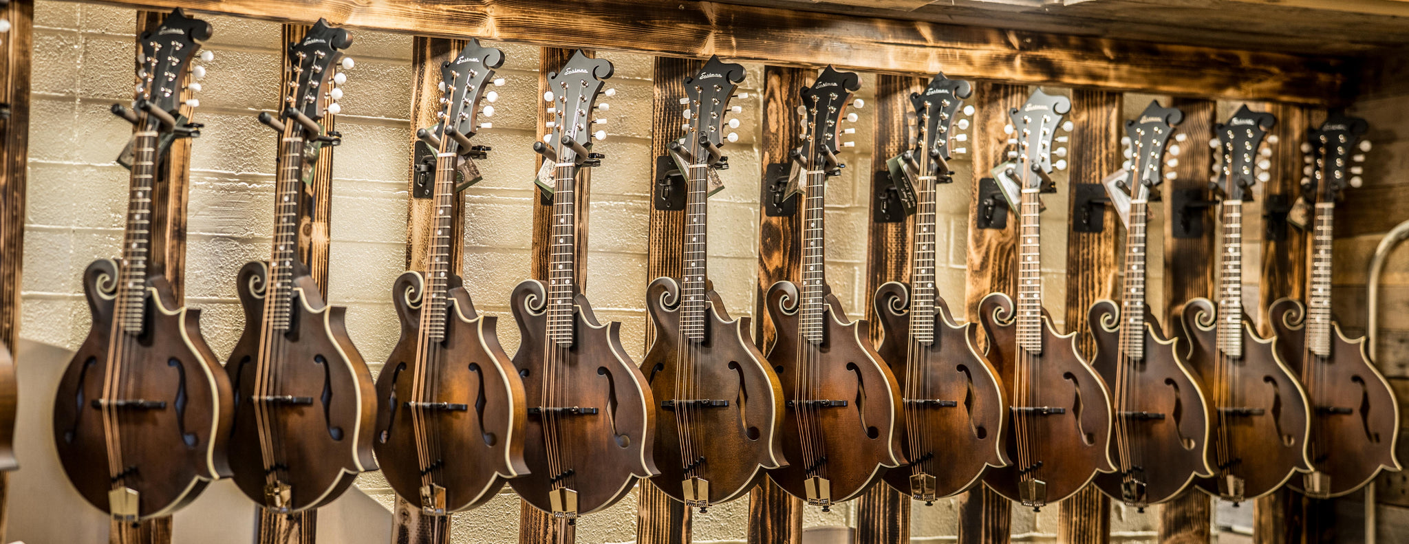 Mandolin Family Instruments | The Acoustic Shoppe