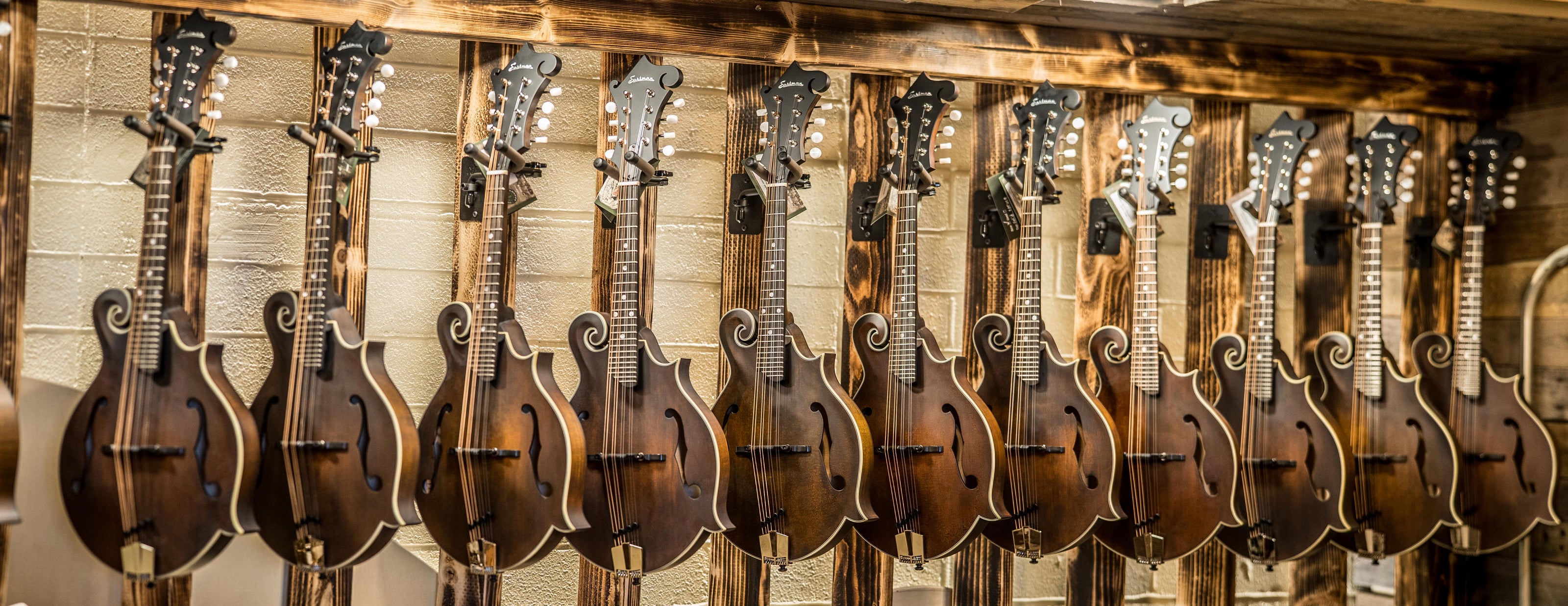 Mandolin Family Instruments | The Acoustic Shoppe
