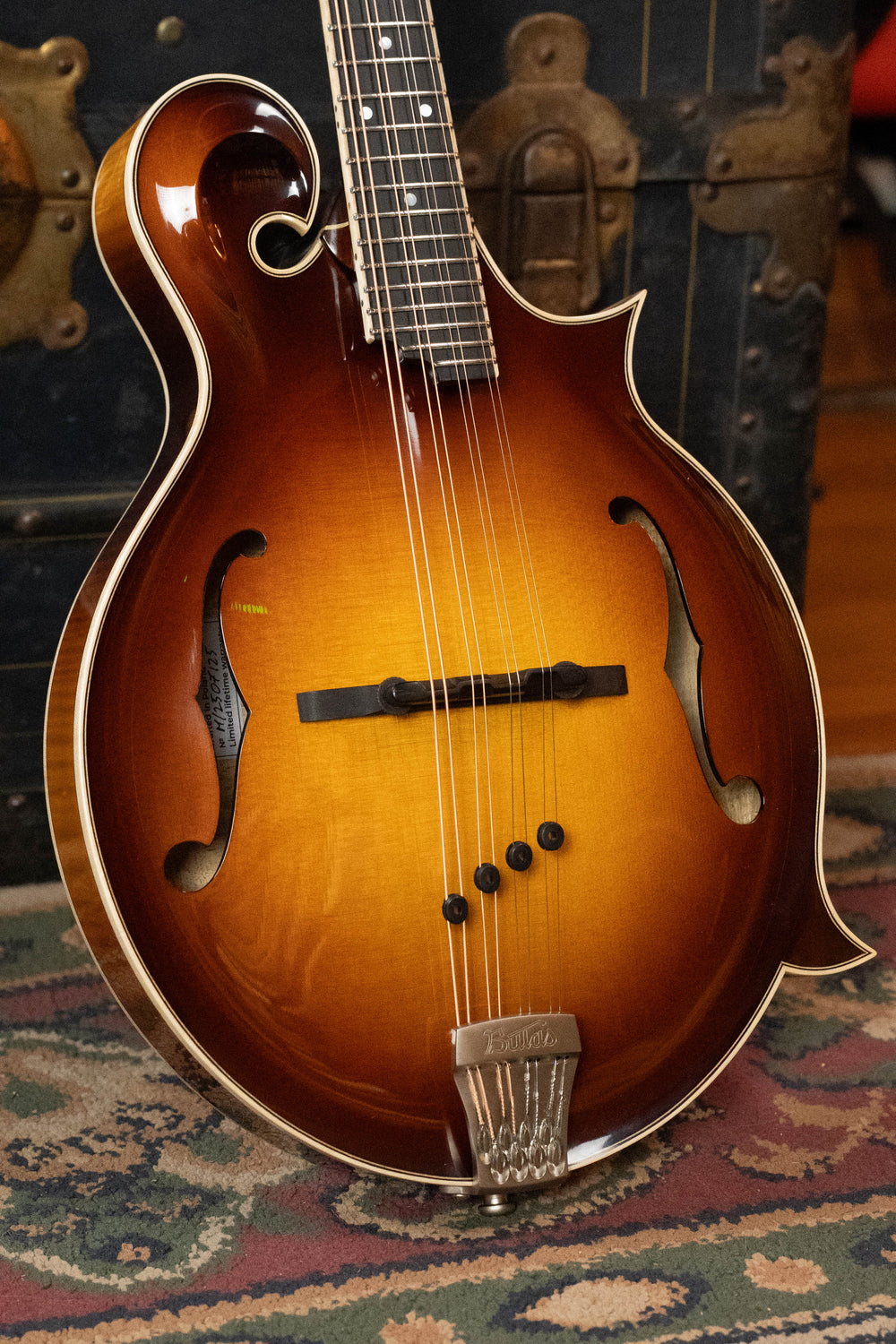 All Acoustic Guitars, Mandolins, Banjos & More | The Acoustic Shoppe ...