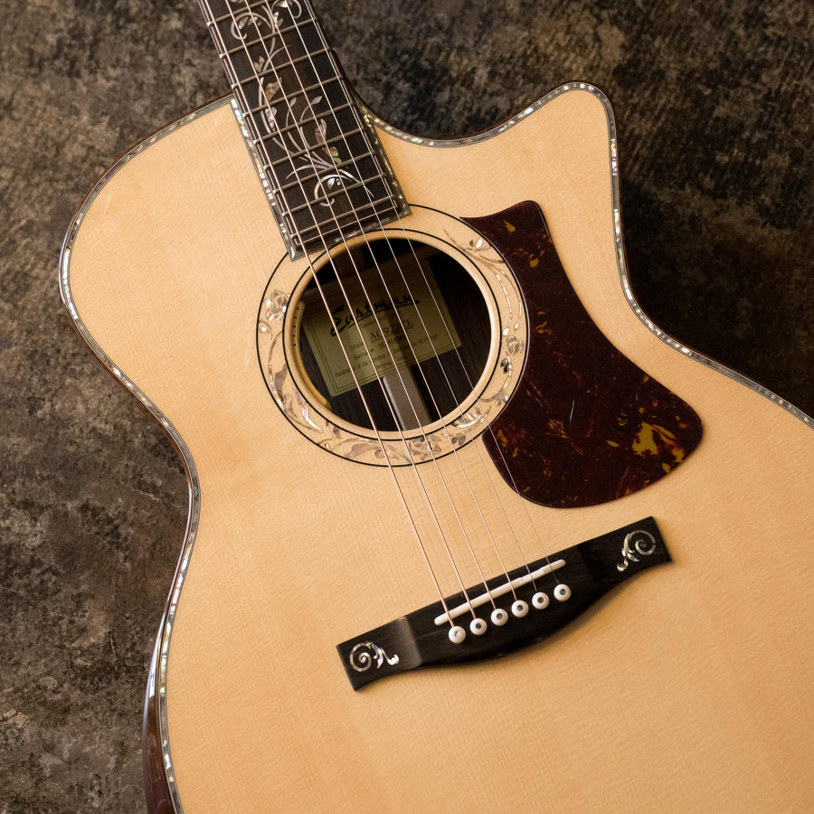 Acoustic Guitars – Huge Selection | The Acoustic Shoppe