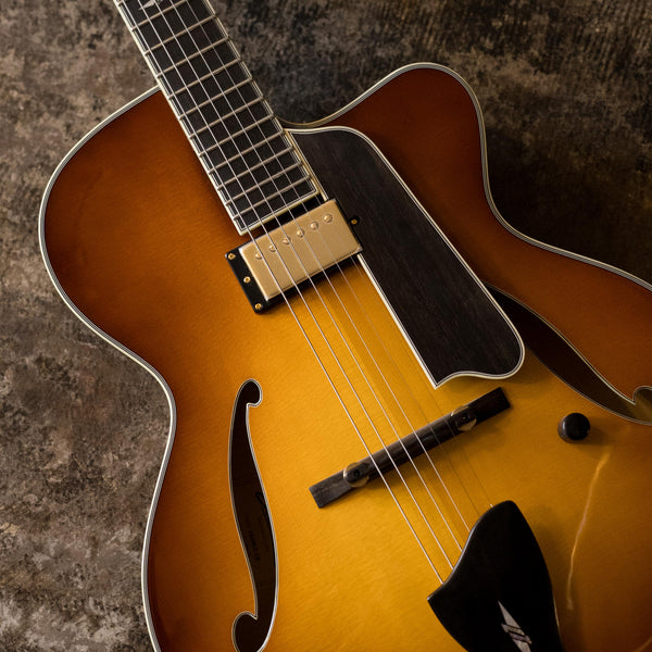 Carbon Fiber Acoustic Guitars | The Acoustic Shoppe