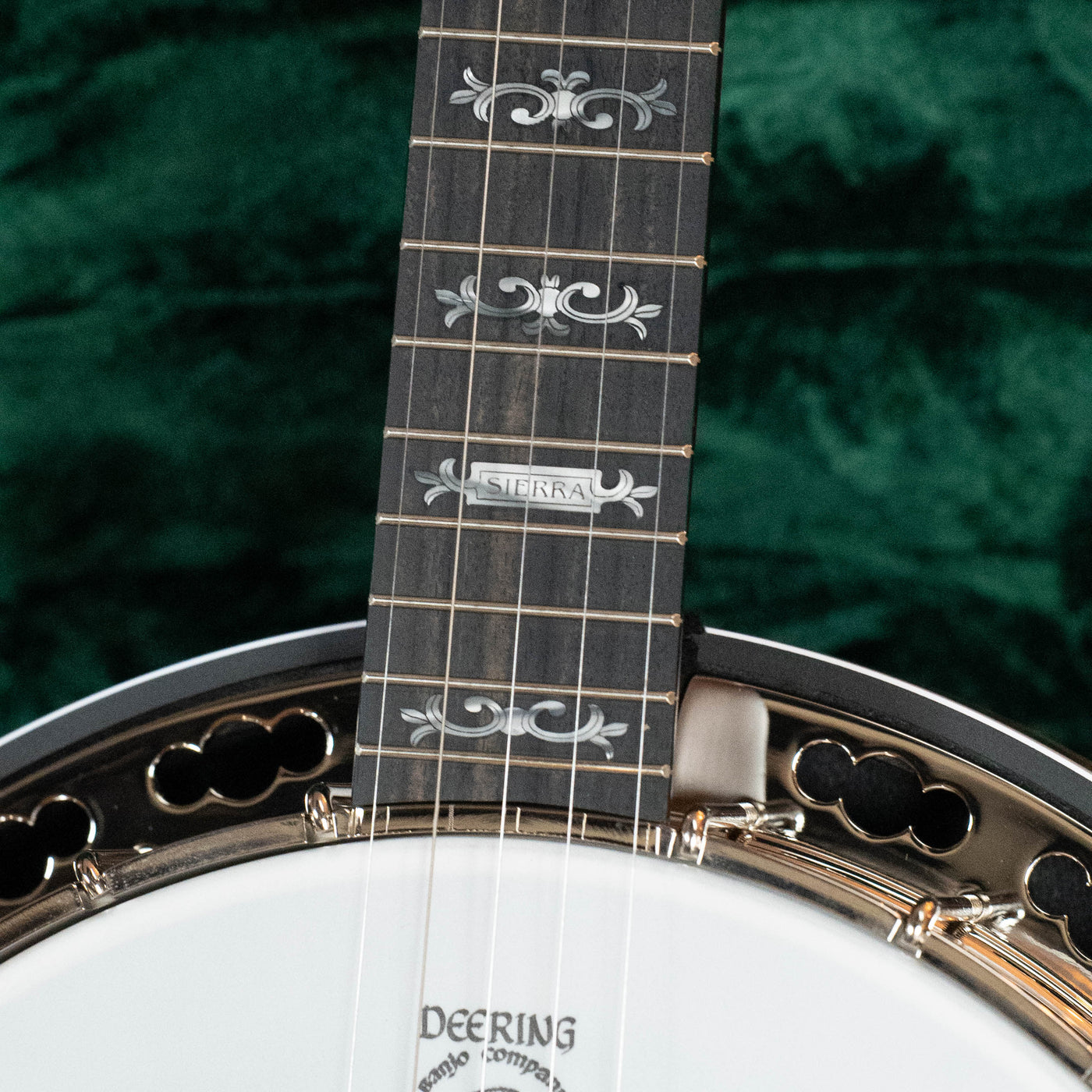 Deering Banjos | The Acoustic Shoppe