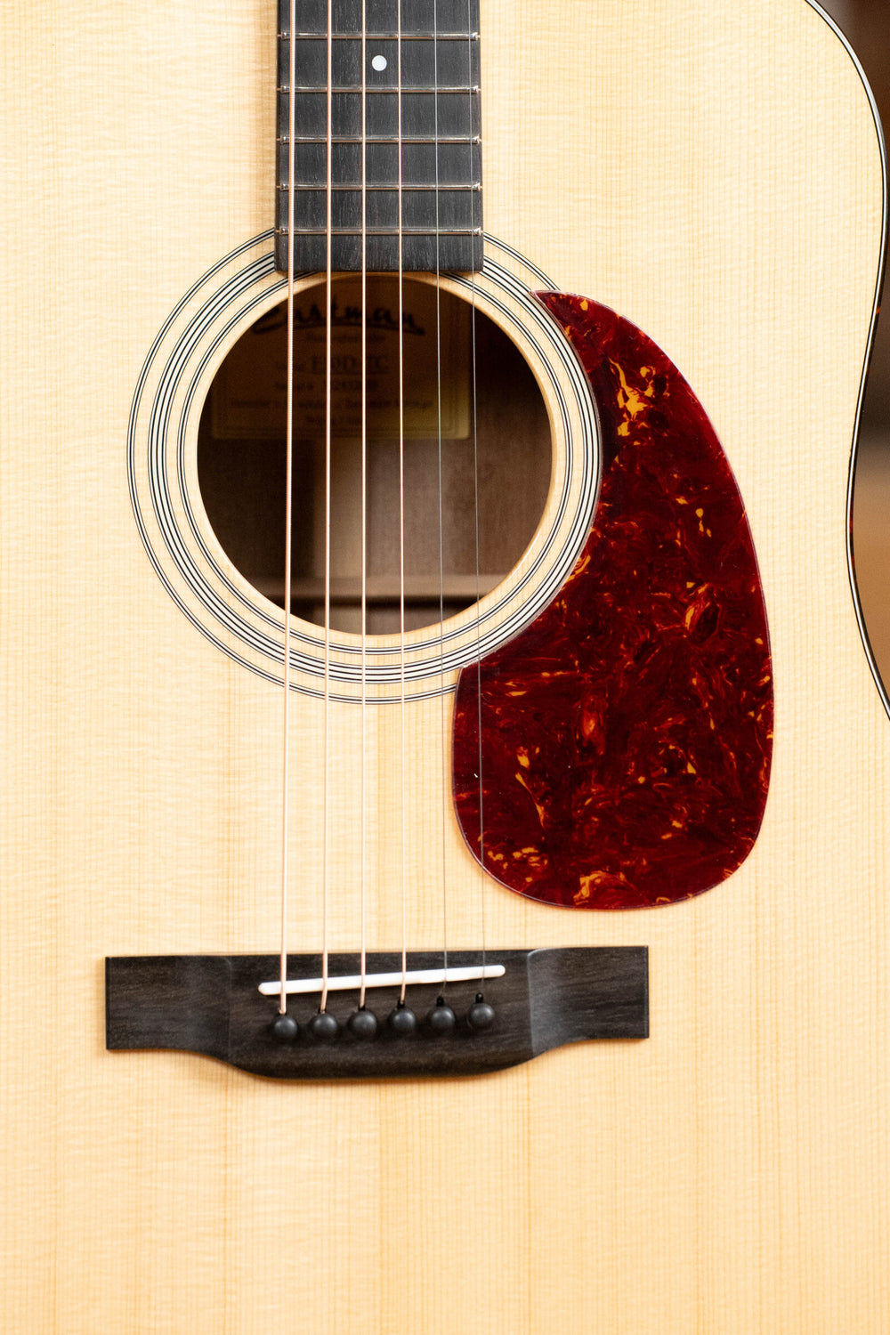 Eastman E10D-TC Thermo-Cured Adirondack Spruce/Mahogany Dreadnought Ac