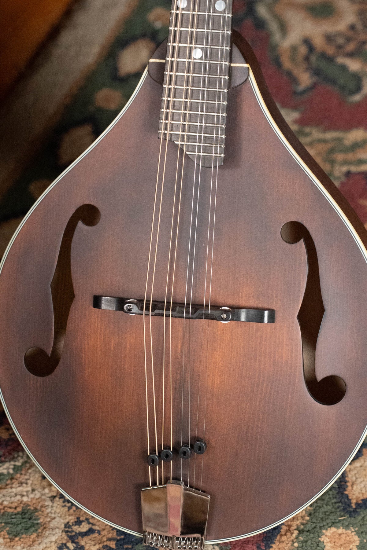 Eastman Mandolins | The Acoustic Shoppe