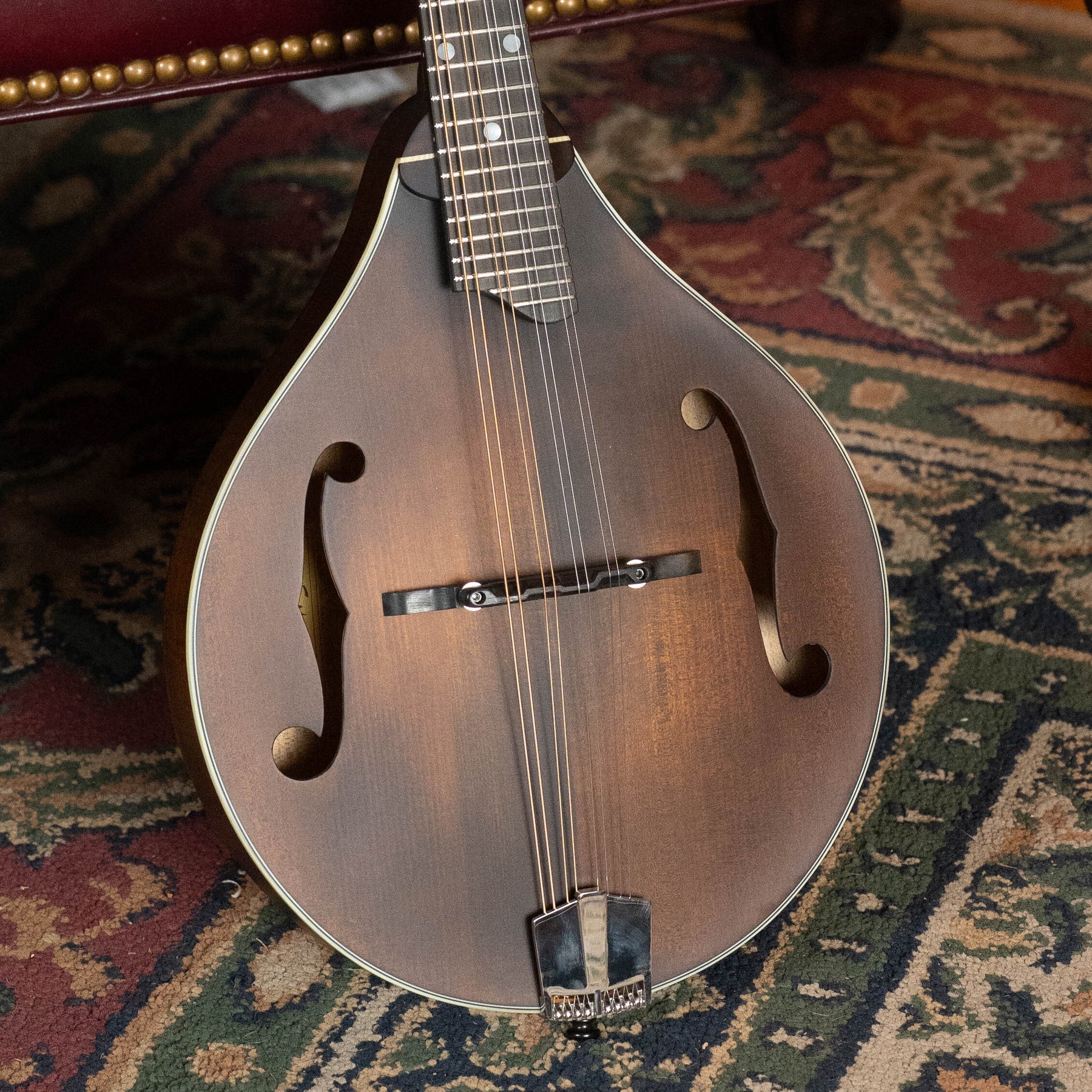 Eastman Mandolins | The Acoustic Shoppe