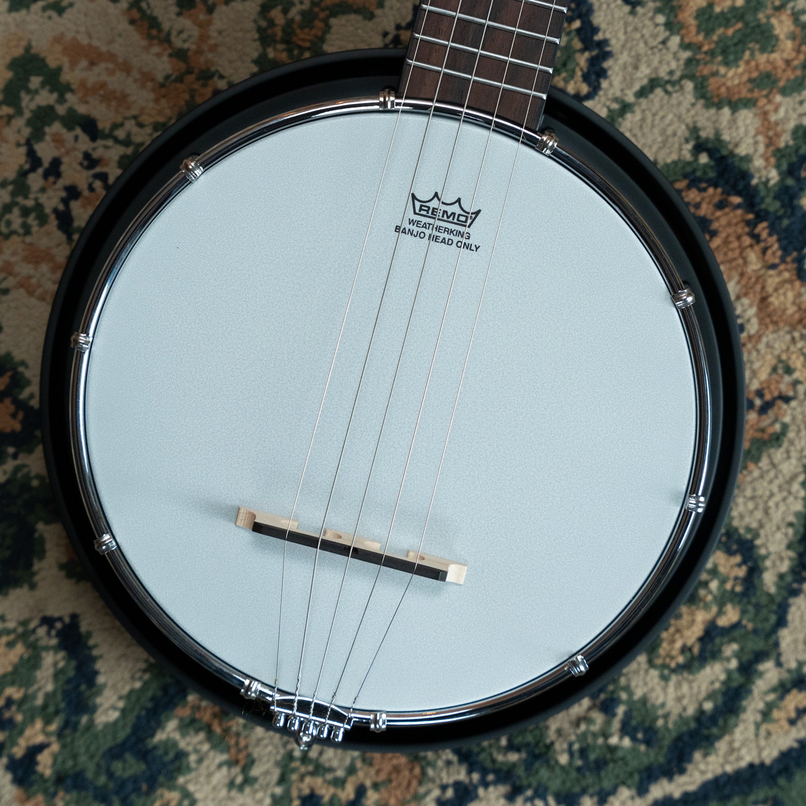 Gold Tone Banjos | The Acoustic Shoppe