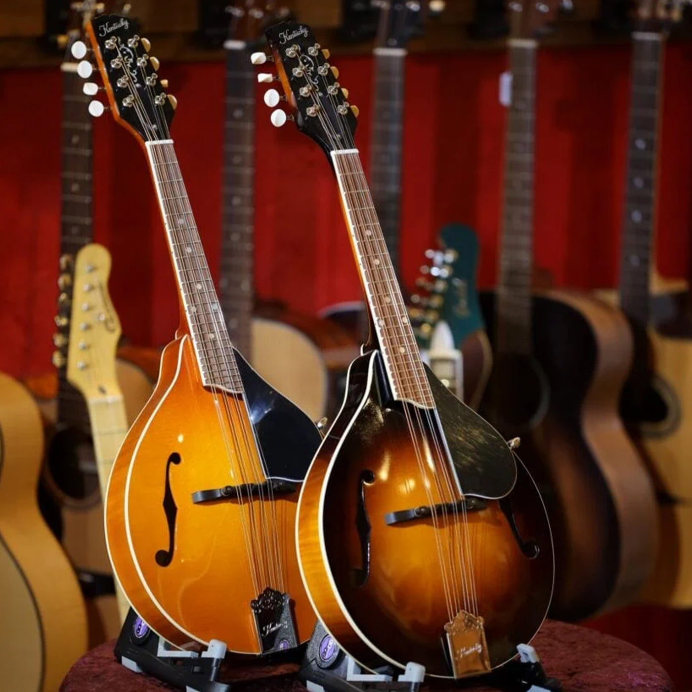 Kentucky Mandolins | The Acoustic Shoppe