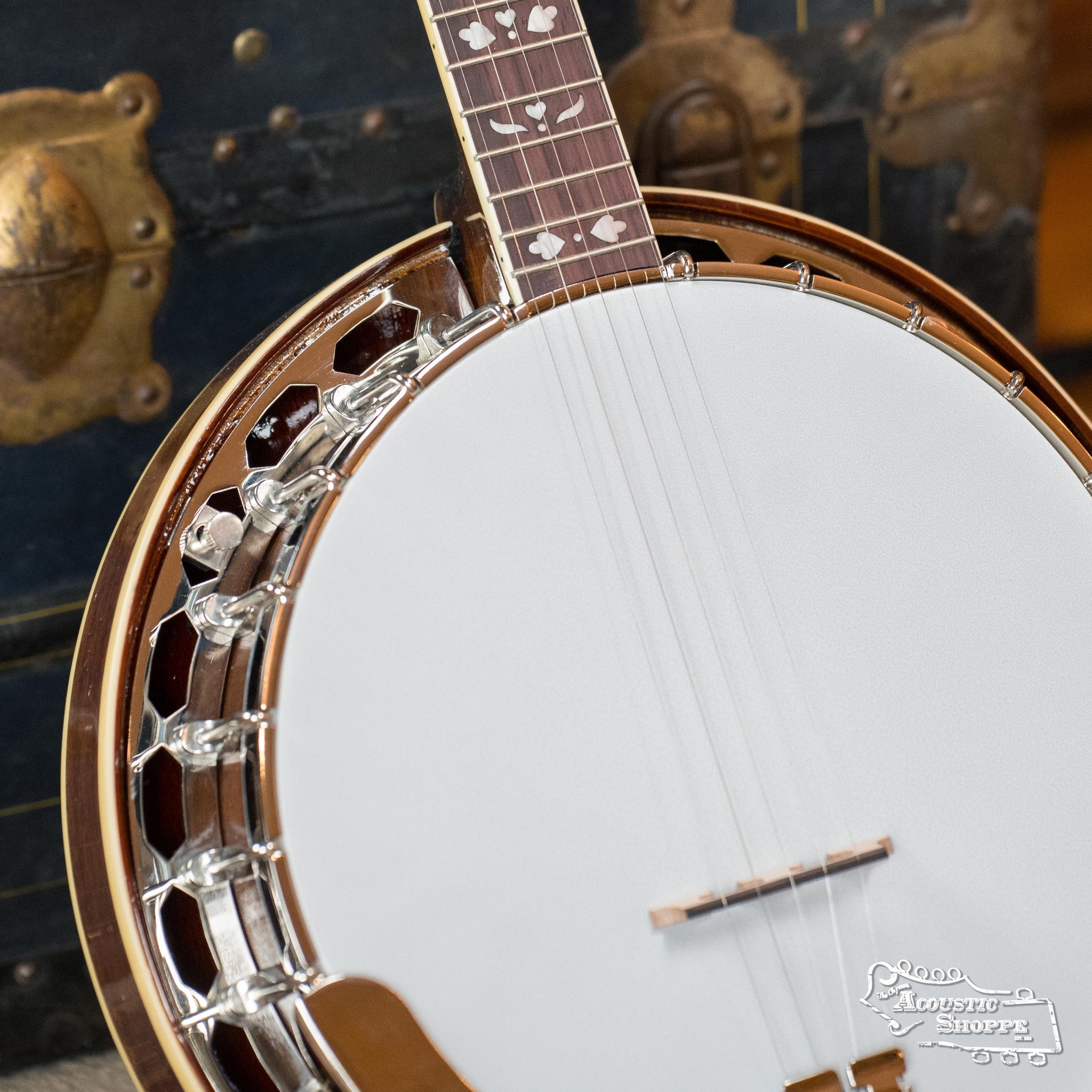 Recording King RK-R20 Songster Resonator Banjo #0283
