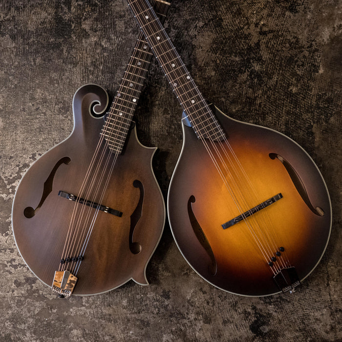 Mandolin Family Instruments | The Acoustic Shoppe