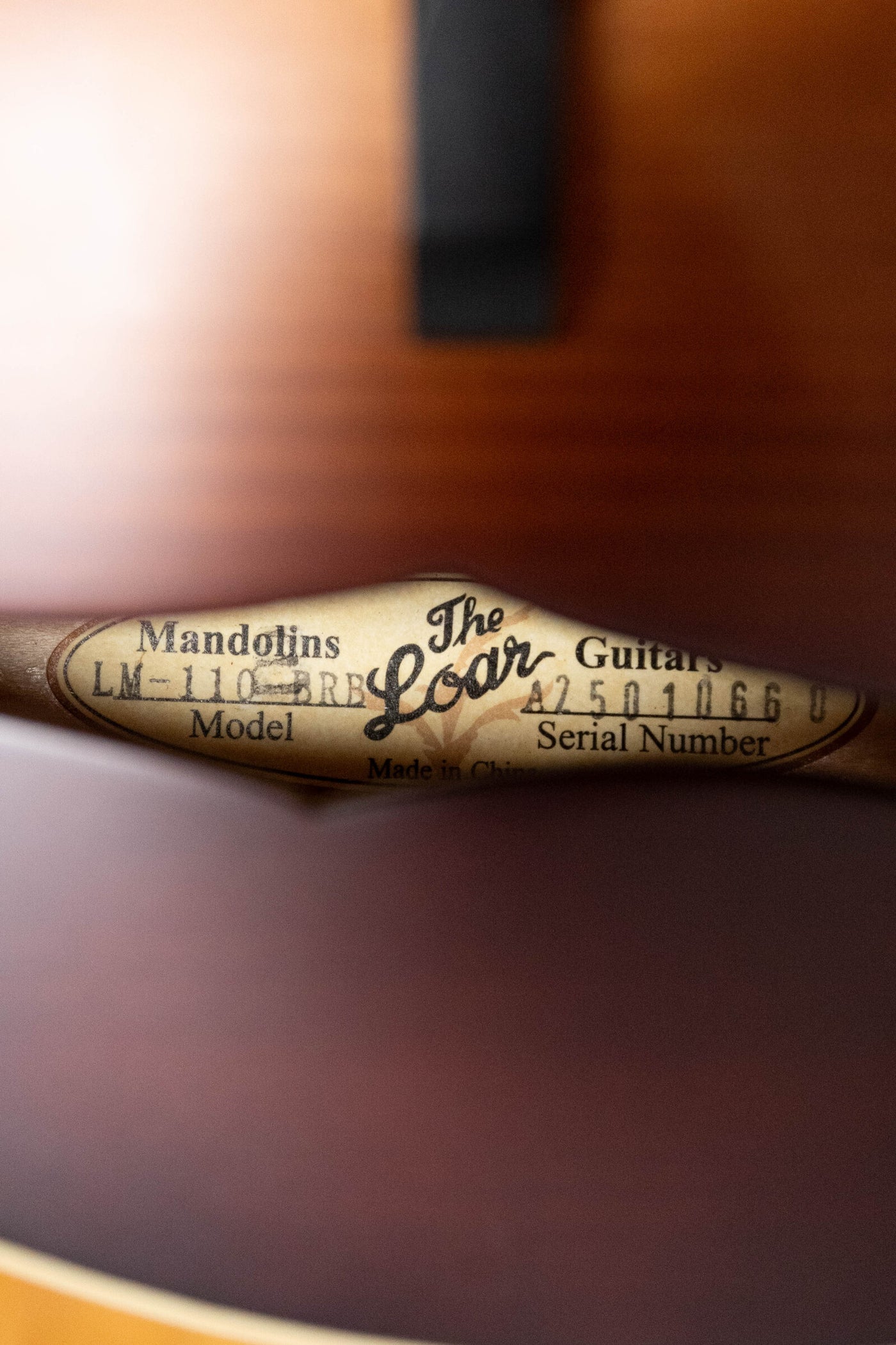 The Loar Mandolins | The Acoustic Shoppe